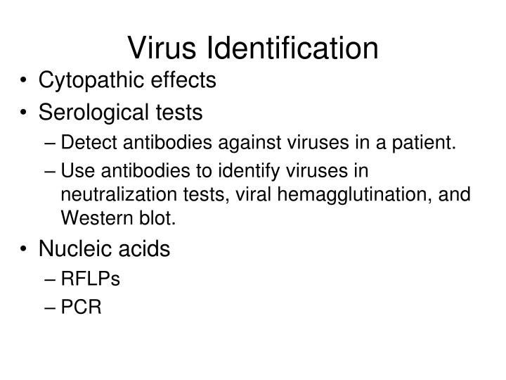 PPT - Growing Viruses PowerPoint Presentation - ID:6838225