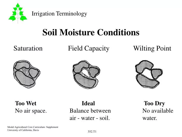 PPT - Soil Moisture Conditions PowerPoint Presentation, free download ...