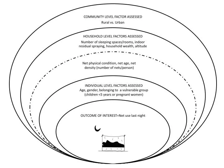 PPT - INDIVIDUAL LEVEL FACTORS ASSESSED PowerPoint Presentation, free ...