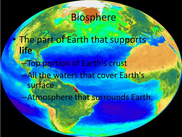 PPT - The study of the interactions that take place among organisms and ...