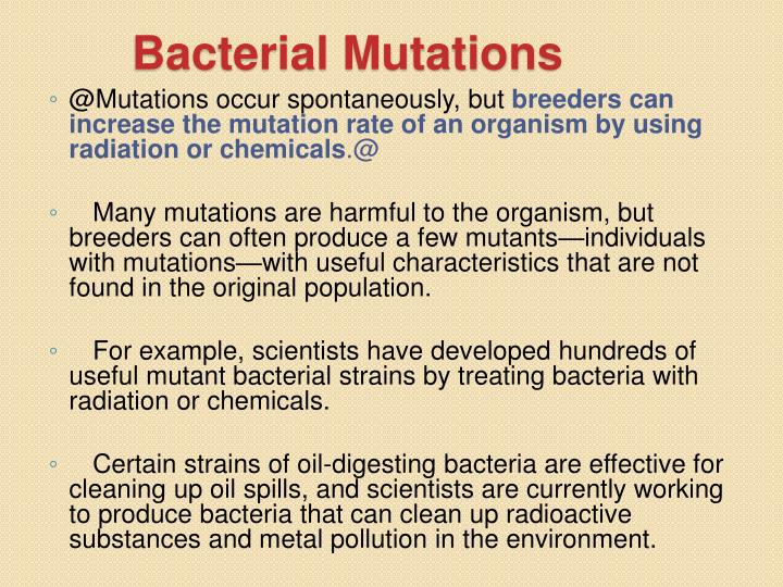 PPT - Chapter 15- Genetic Engineering 15.1 Selective Breeding ...