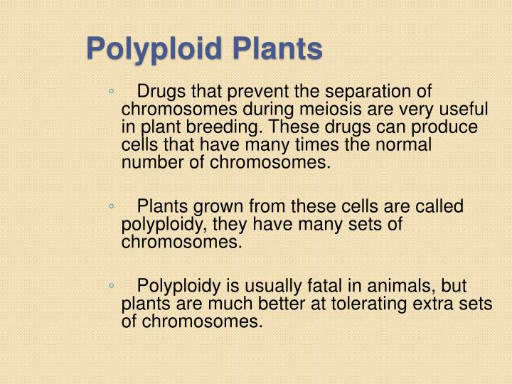Polyploidy In Plants