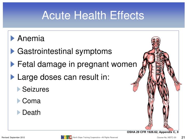 PPT - Lead Safety Awareness PowerPoint Presentation - ID:6839170