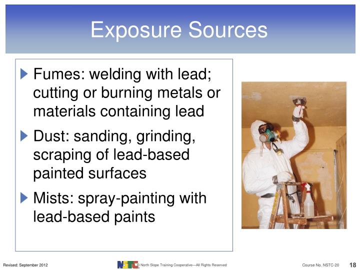 PPT - Lead Safety Awareness PowerPoint Presentation - ID:6839170