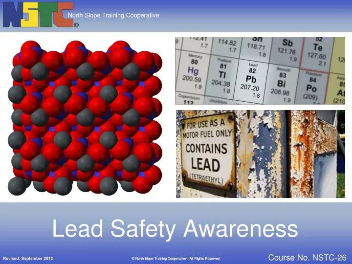 PPT - Lead Safety Awareness PowerPoint Presentation, free download - ID ...