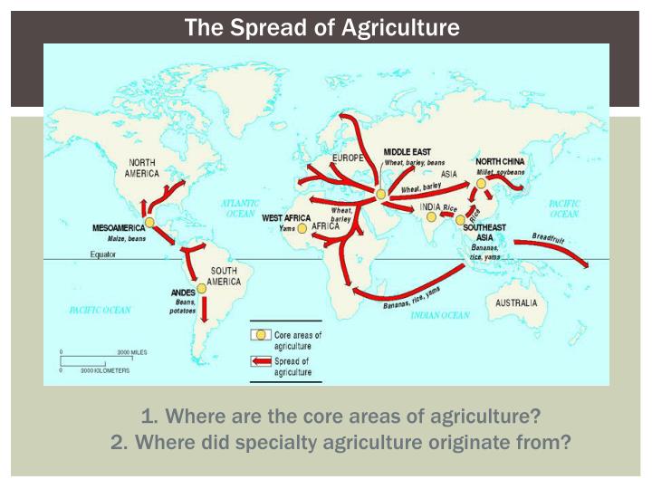 PPT - Chapter 1: From Human Prehistory to the Early Civilizations ...