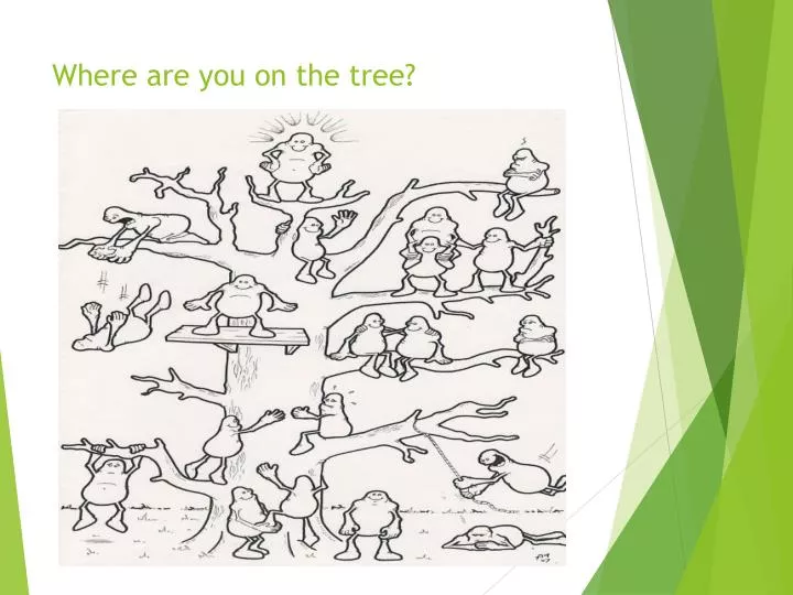 PPT - Where are you on the tree? PowerPoint Presentation, free download ...