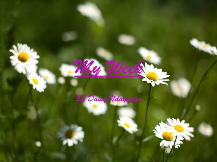 PPT - My Week PowerPoint Presentation, free download - ID:6846847