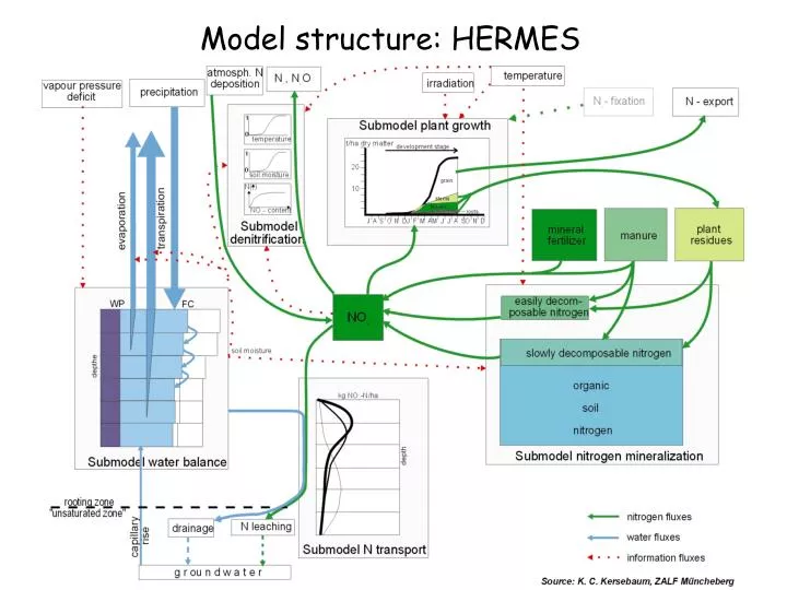 PPT - Model structure: HERMES PowerPoint Presentation, free download ...