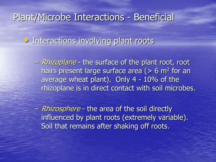PPT - Plant/Microbe Interactions - Beneficial PowerPoint Presentation ...