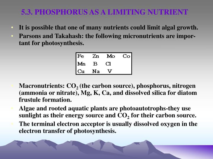 PPT - 5. EUTROPHICATION OF LAKES PowerPoint Presentation - ID:6850263