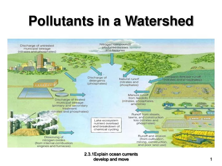 PPT - Pollutants in a Watershed PowerPoint Presentation, free download ...