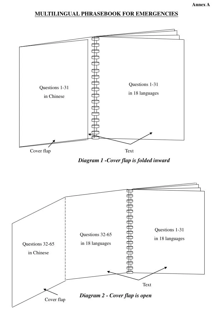 PPT - MULTILINGUAL PHRASEBOOK FOR EMERGENCIES PowerPoint Presentation ...