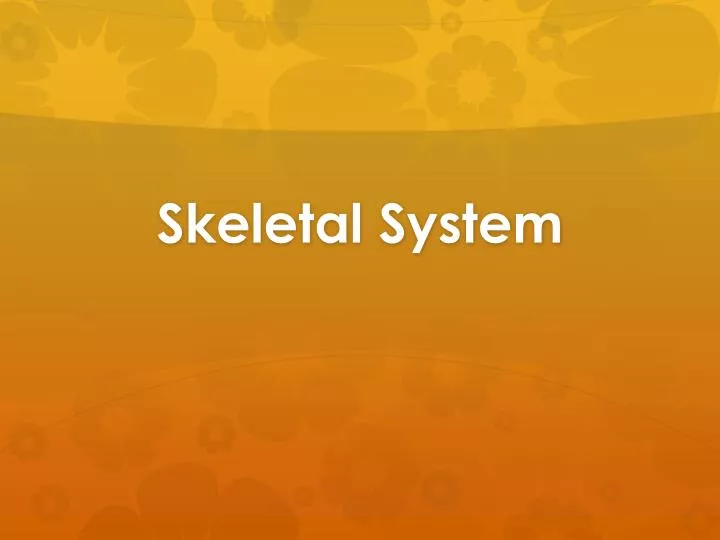 PPT - Skeletal System PowerPoint Presentation, free download - ID:6851741