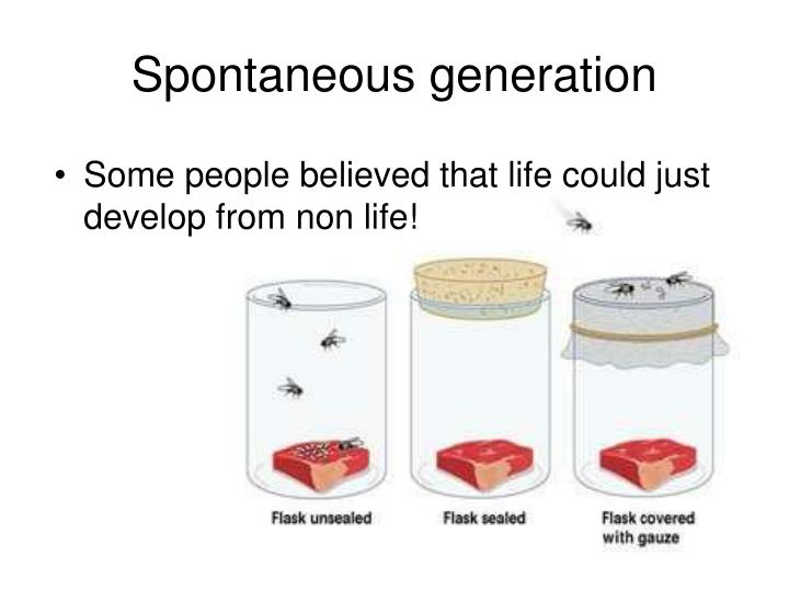 PPT - History of the Earth PowerPoint Presentation - ID:6851856