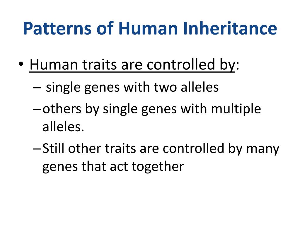 Ppt Human Inheritance Powerpoint Presentation Free Download Id 6852385