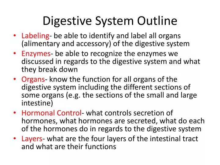 PPT - Digestive System Outline PowerPoint Presentation, free download ...