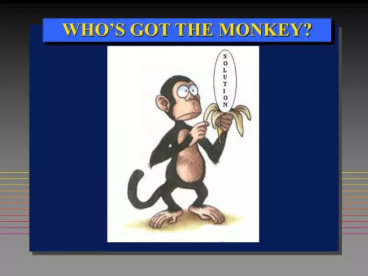 PPT - WHO’S GOT THE MONKEY? PowerPoint Presentation, free download - ID ...