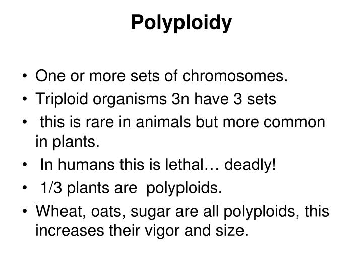 PPT - Genetics PowerPoint Presentation - ID:6855611