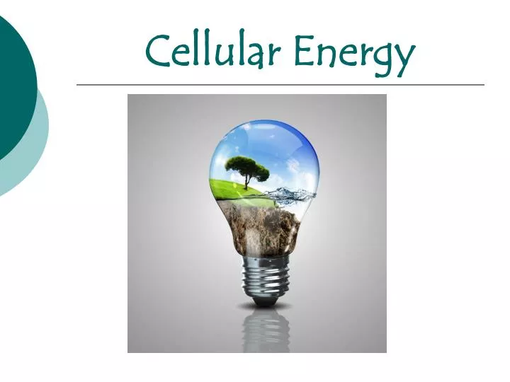PPT - Cellular Energy PowerPoint Presentation, free download - ID:6856207