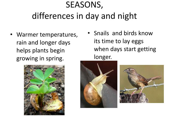 PPT - LONG TERM & SHORT TERM ENVIRONMENTAL CHANGES PowerPoint ...