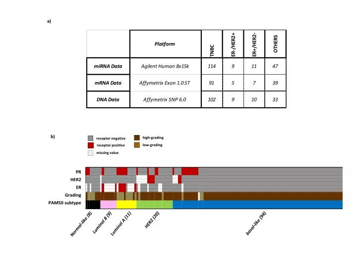PPT - PAM50 subtype PowerPoint Presentation, free download - ID:6856753