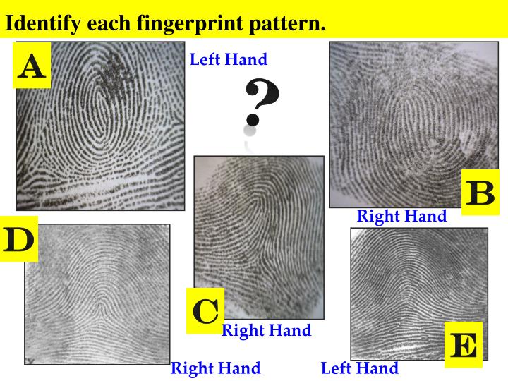 PPT - Chapter 4 - Fingerprints PowerPoint Presentation - ID:6856992