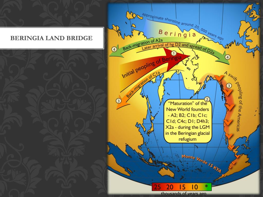 PPT - Diverse Geography of North America's Regions PowerPoint ...