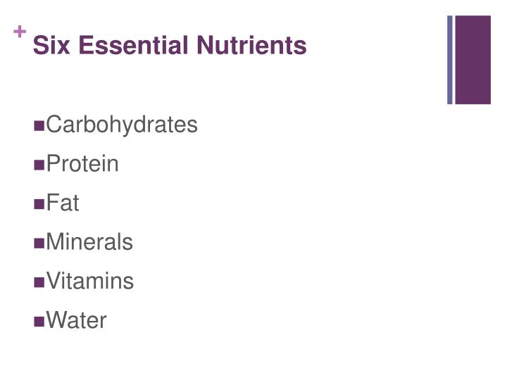 PPT - Six Nutrients PowerPoint Presentation - ID:6858286