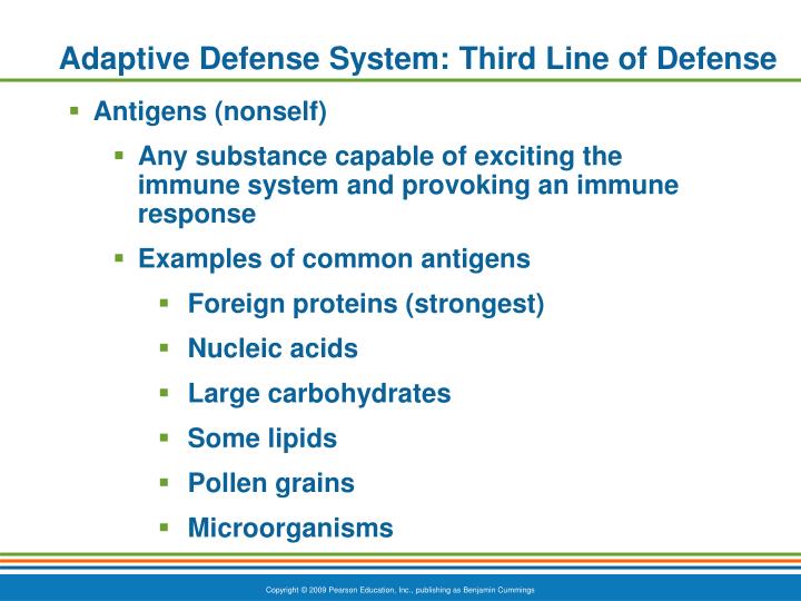 PPT - The Lymphatic System and Body Defenses PowerPoint Presentation ...