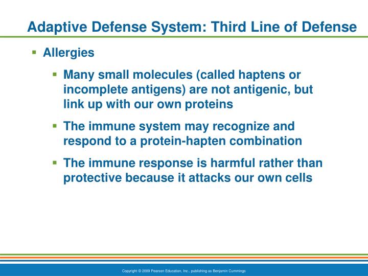 PPT - The Lymphatic System and Body Defenses PowerPoint Presentation ...
