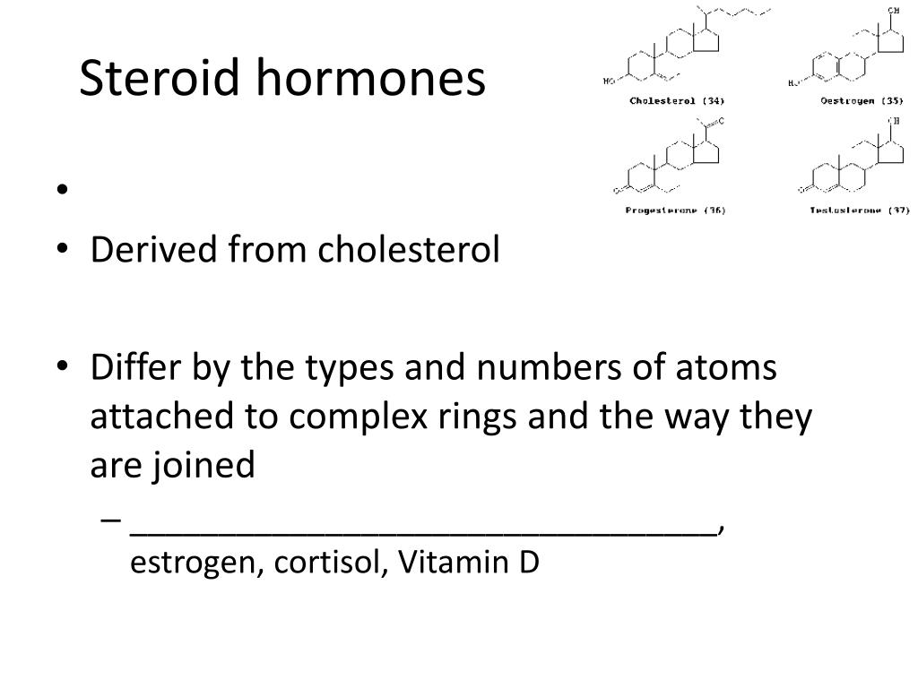 PPT - BSC 182 Human Physiology & Anatomy II PowerPoint Presentation ...
