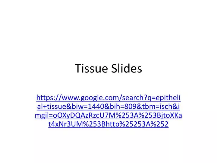 PPT - Tissue Slides PowerPoint Presentation, free download - ID:6861198