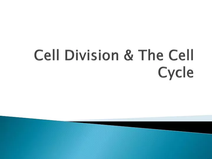 PPT - Cell Division & The Cell Cycle PowerPoint Presentation, free ...