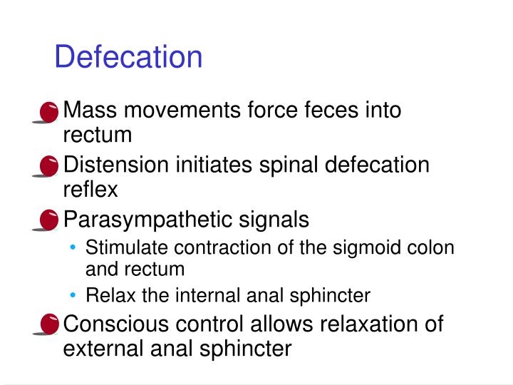PPT - Digestive System PowerPoint Presentation - ID:6864426