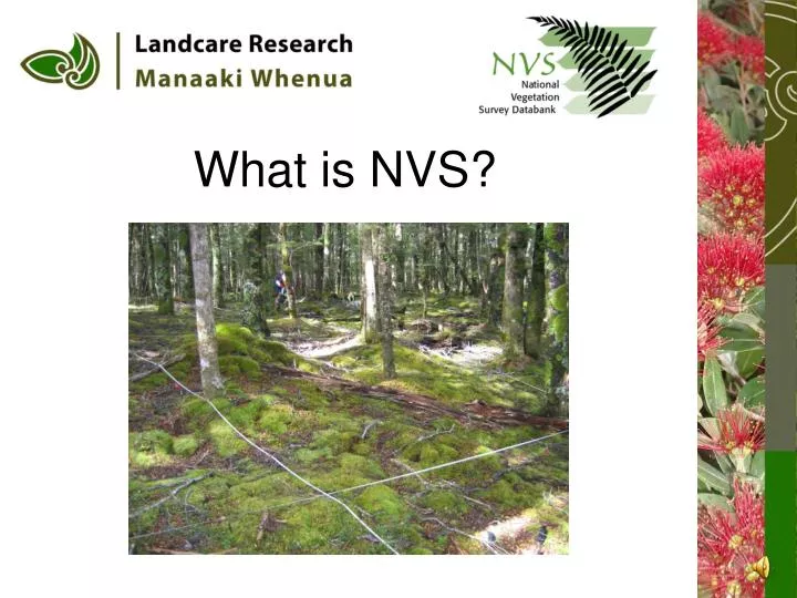 PPT - What is NVS? PowerPoint Presentation, free download - ID:6864484
