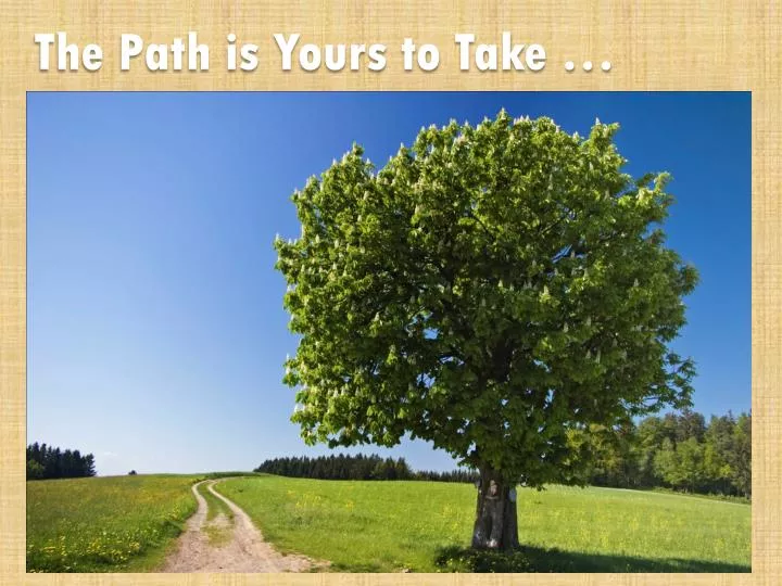 PPT - The Path is Yours to Take … PowerPoint Presentation, free ...