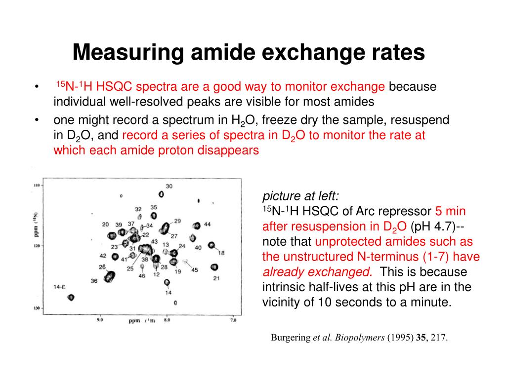 Ppt Solving Nmr Structures Part I Experimentally Derived Restraints Powerpoint Presentation