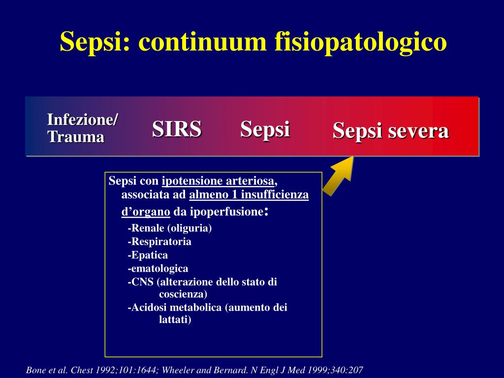 PPT - LO SHOCK SETTICO: DIAGNOSI E TERAPIA PowerPoint Presentation ...