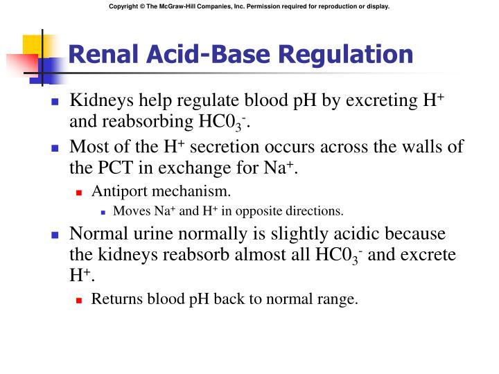 PPT - Acid-Base Balance PowerPoint Presentation - ID:6870820
