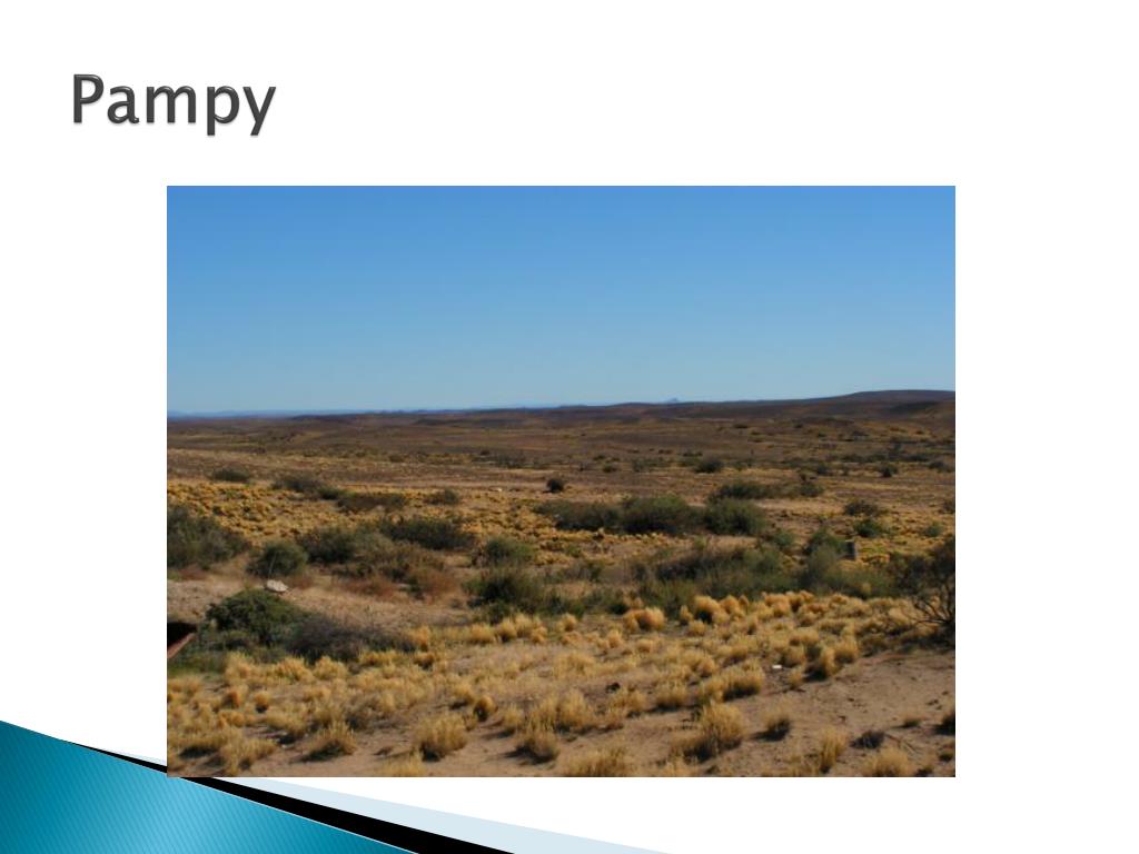 PPT - Jižní Amerika - povrch PowerPoint Presentation, free download ...