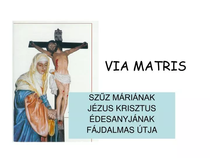PPT - VIA MATRIS PowerPoint Presentation, free download - ID:6874854