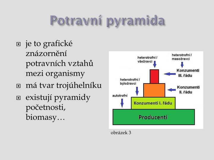 PPT - základy ekologie PowerPoint Presentation - ID:6875183