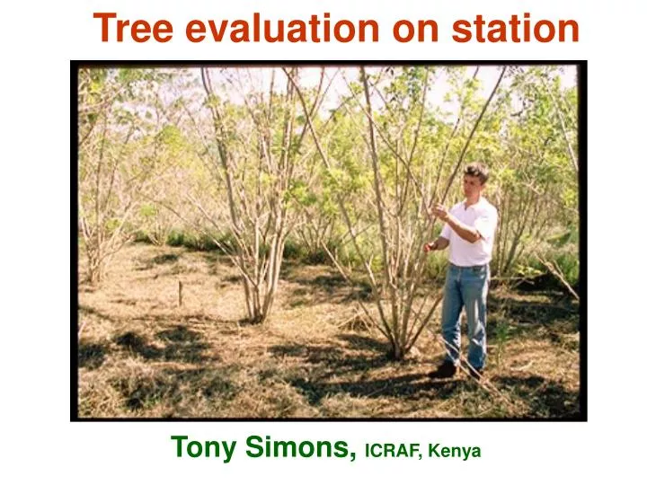 PPT - Tree evaluation on station PowerPoint Presentation, free download ...