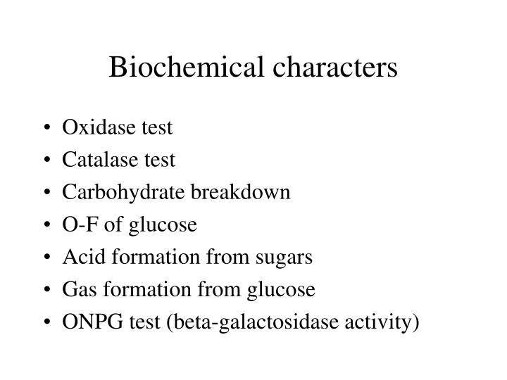 PPT - Characterization and identification of bacteria PowerPoint ...