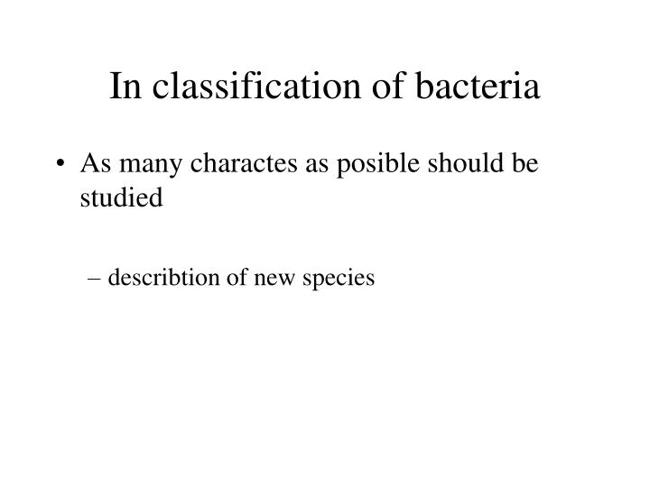 PPT - Characterization and identification of bacteria PowerPoint ...