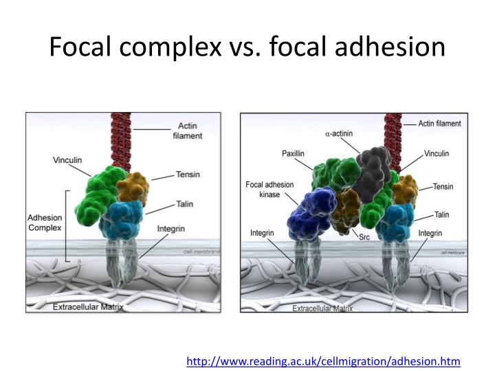 PPT - Journal Review PowerPoint Presentation - ID:6875645