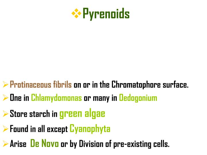 PPT - What Alga Is? PowerPoint Presentation - ID:6875954