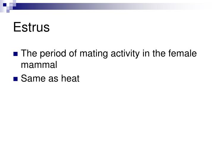 PPT - Estrous Cycle PowerPoint Presentation - ID:6876192