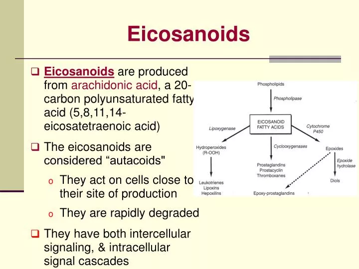 PPT - Eicosanoids PowerPoint Presentation, free download - ID:6877143